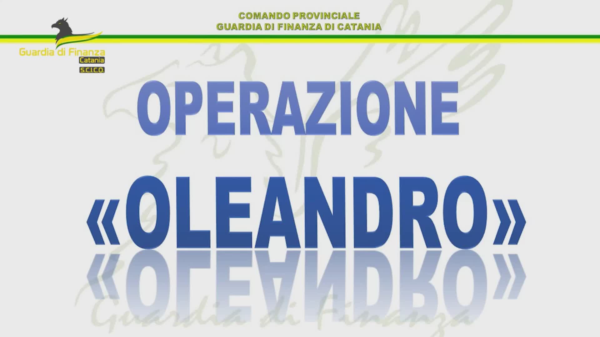 Operazione Oleandro, arresti in quattro regioni. VIDEO - Video Regione